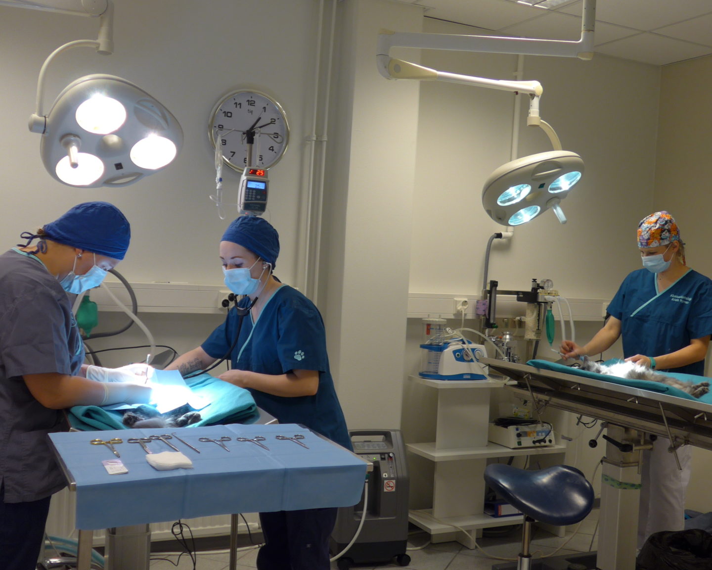 Klinikka - Länsi-Vantaan Eläinklinikka
